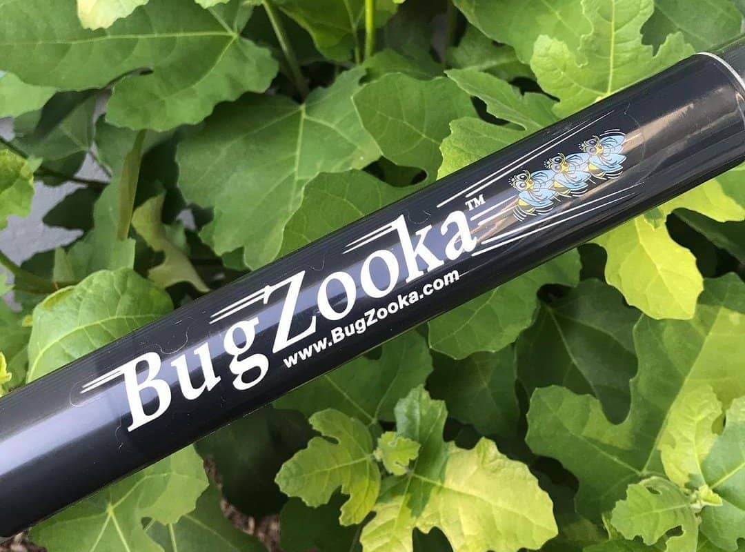 Best Stink Bug Traps in [year]: Expert Reviews – Pest Control Hacks